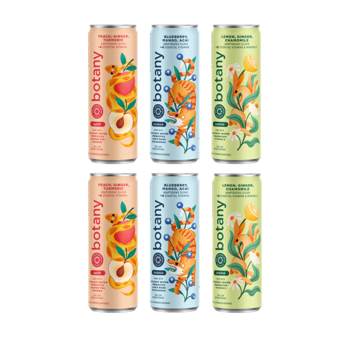 Collective Arts Natural Adaptogens Variety Pack - Upside Drinks - Free ...